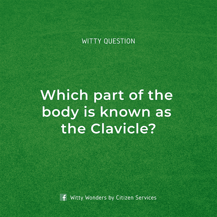 Witty Questions – Citizenservices
